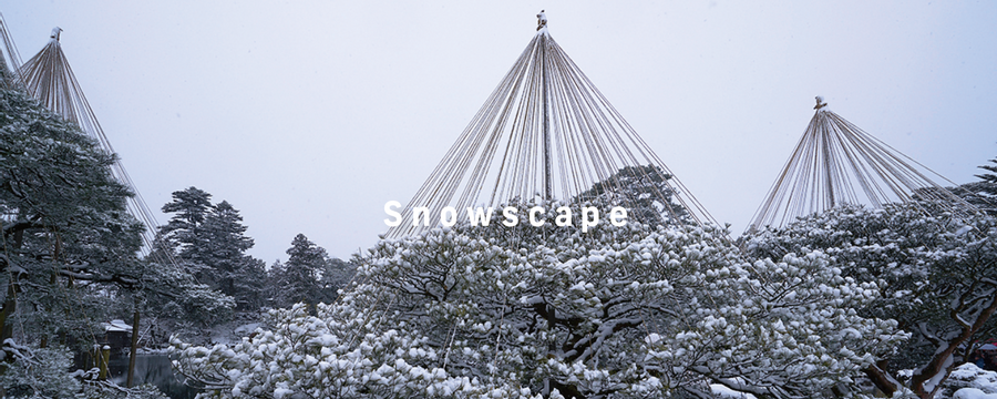 YUKITSURI, its function and aesthetics. | eyeon kanazawa column | eye ...
